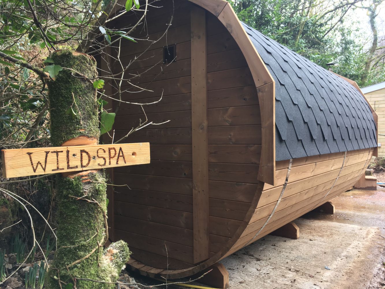 Saunas